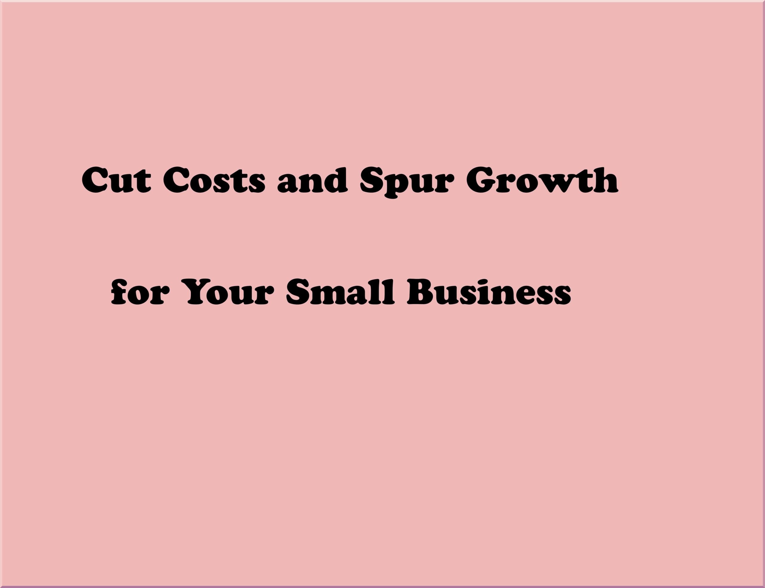 Cut Costs and Spur Growth for Your Small Business - Global Gurus