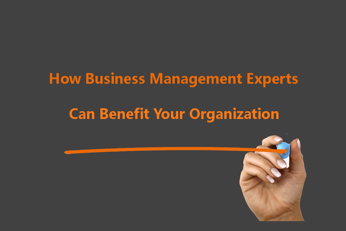 How Business Management Experts can Benefit Your Organization - Global ...